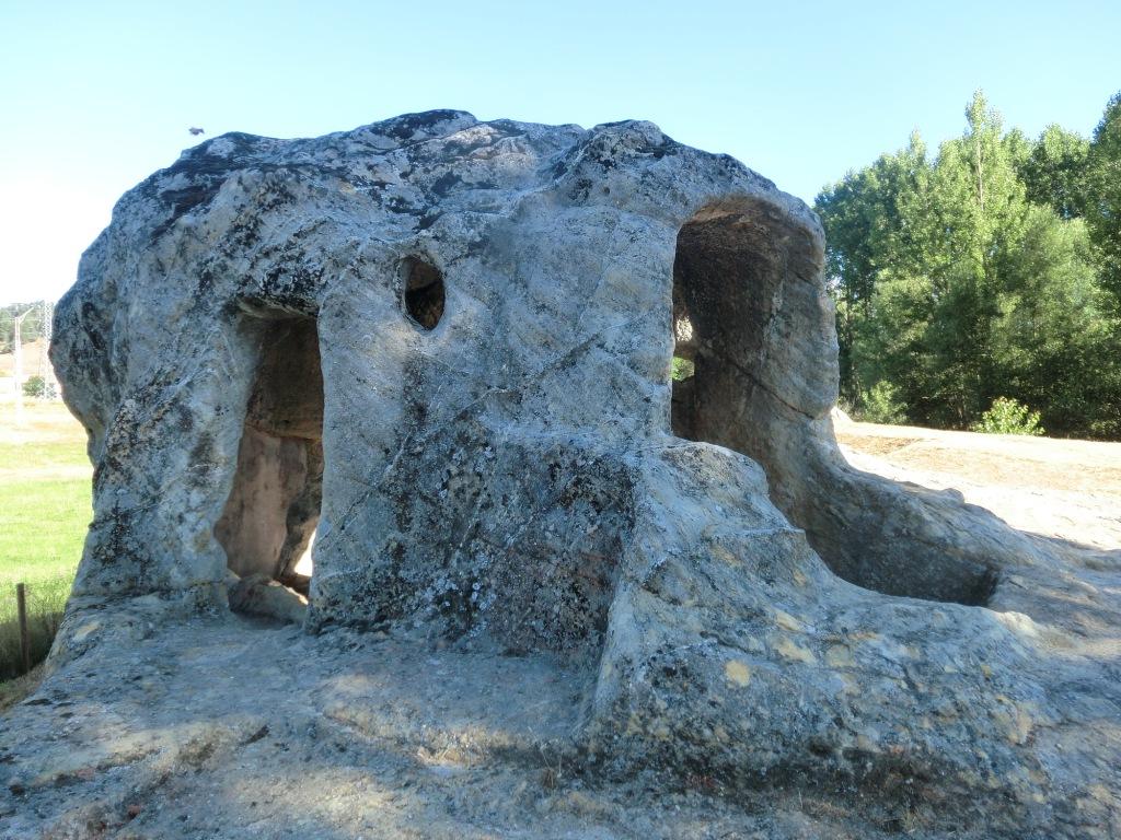 Aceptando lo que venga: Cobijo, cariño, comida.