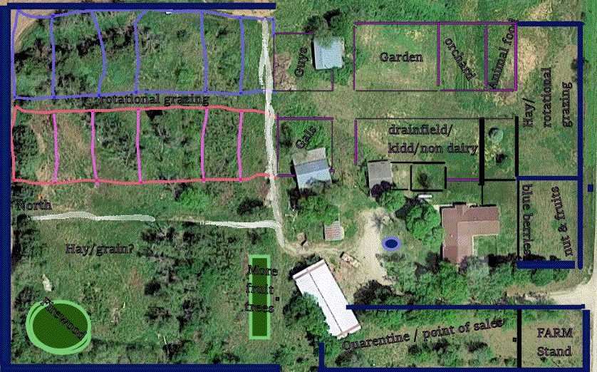 Surviving Life on a Few Acres : May 2016