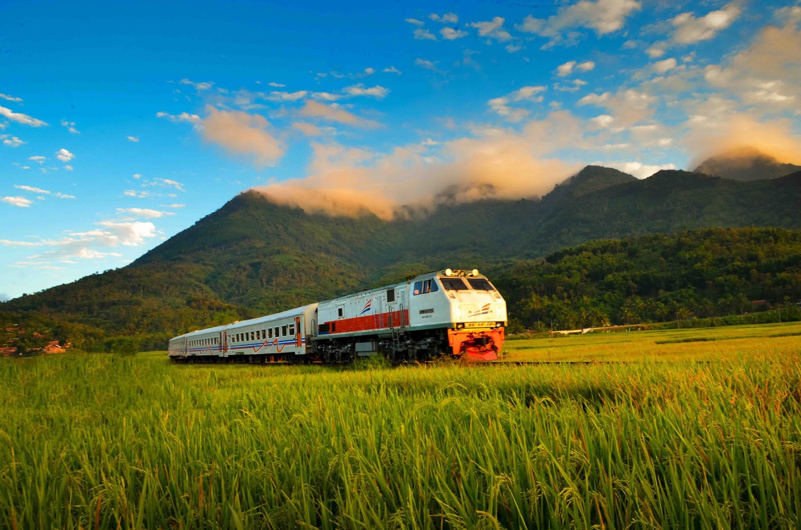 Kereta Api di Indonesia, Perkembanganmu Kini dan Nanti