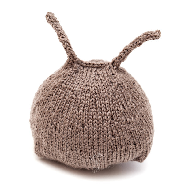 what I’ve made *+*: Round rabbit