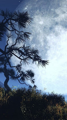 Fondo android pack 195