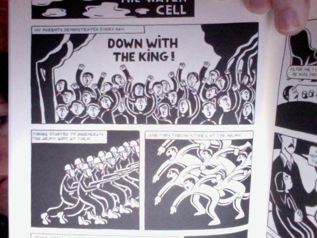 Last Night a Novel Saved my Life: Persepolis