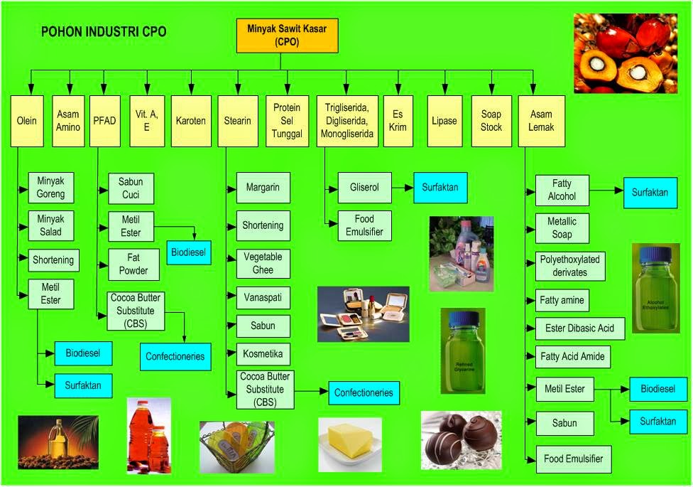 Belajar tentang Crude Palm Oil (CPO) | SRIMAYA INVESTMENT