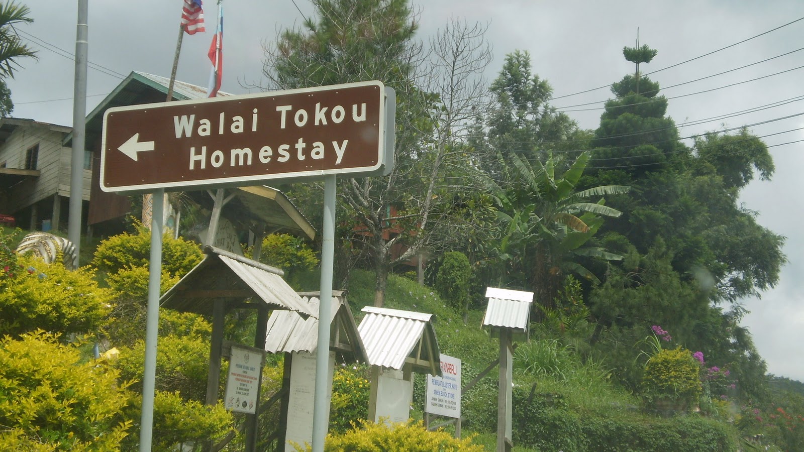 Bila Mommy Qaseh Membebel.....: Walai Tokou