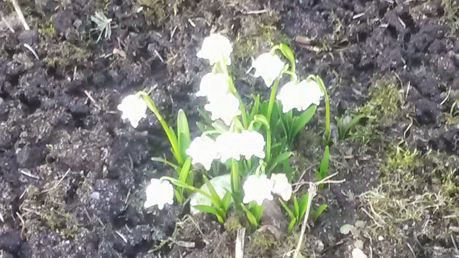 Päikesepõimik: Kevade algus lasteaias