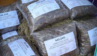 Penyuluh Perikanan Kabupaten Bangka Selatan: Cara pembuatan silase