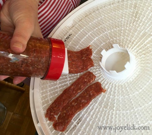 Homemade BEEF JERKY the quick & easy way! (We think this recipe is ...