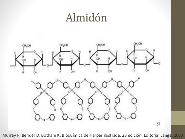 BIOQUÍMICA DE LOS ALIMENTOS