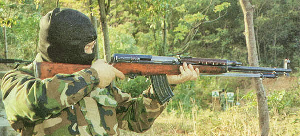 Blog de las Fuerzas de Defensa de la República Argentina: Fusil de ...