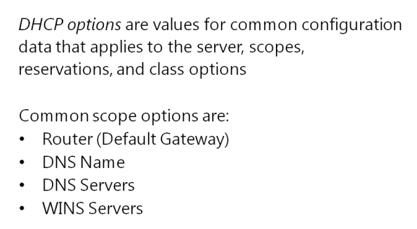 What Are DHCP Options? - ITLearningCambodia
