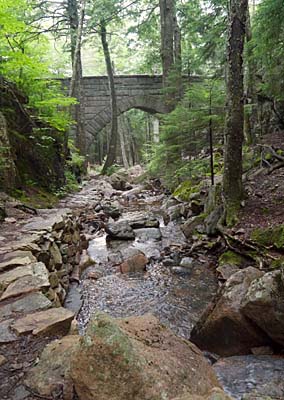 On the Road with Maya: Acadia Trails...