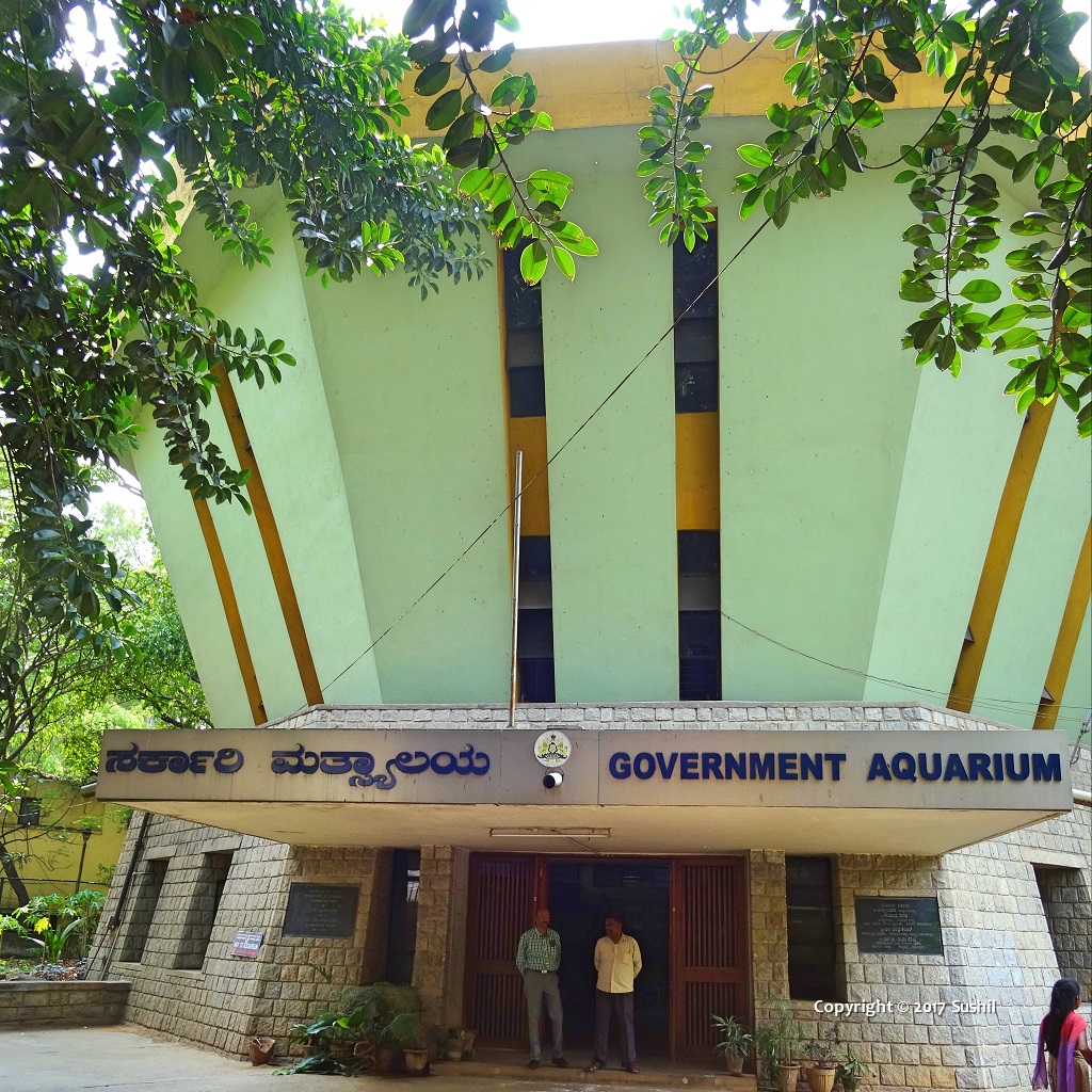 Government Aquarium (Bangalore Aquarium), Bengaluru