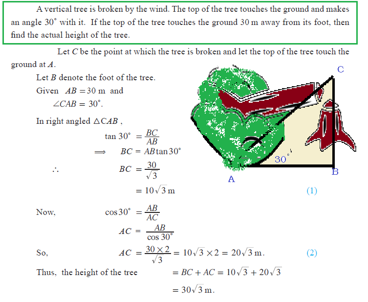 OMTEX CLASSES: A vertical tree is broken by the wind. The top of the ...