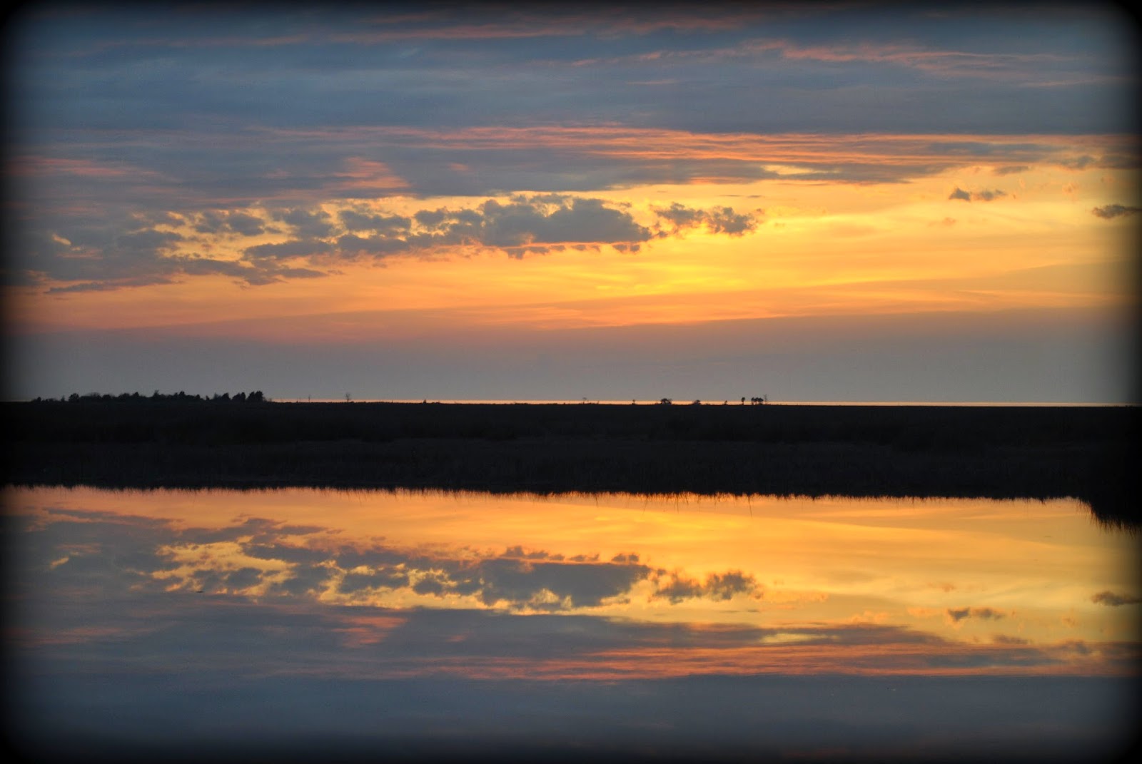 Marty's Misadventures: The Delmarva Peninsula