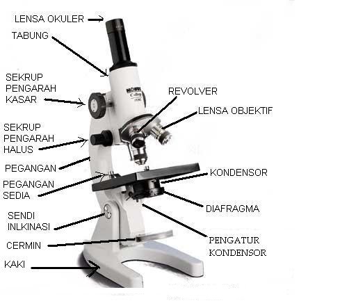 All About Microscope