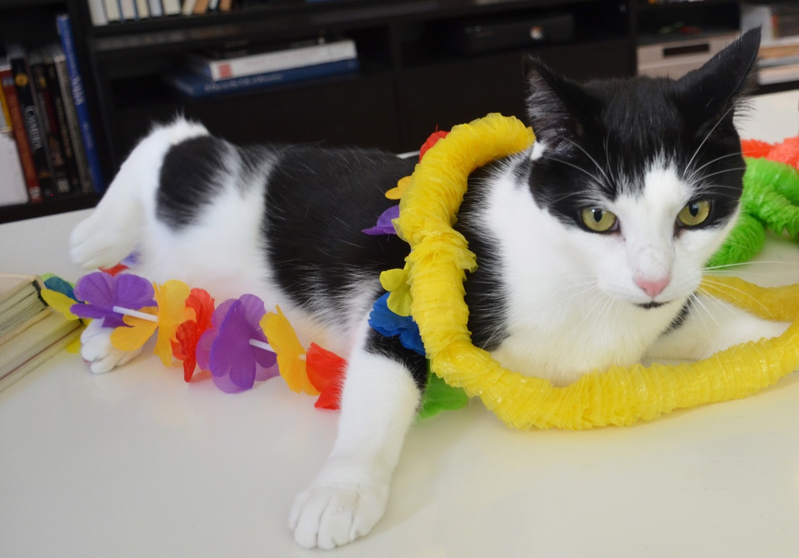 They all wore matching leis, and had a pretty good time