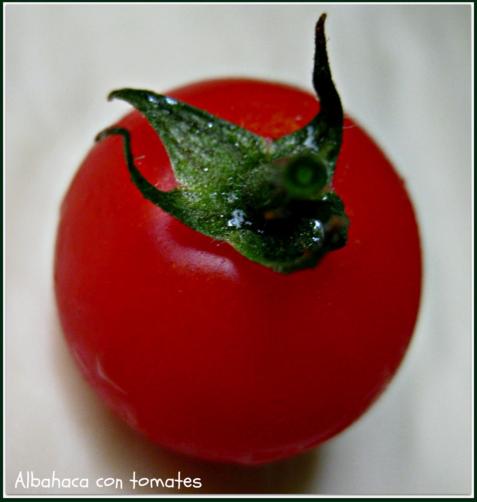 Albahaca con tomates: Merluza mediterránea