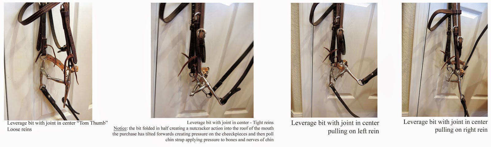 Bit of Honey Training: Contact, Snaffles, and Leverage Bits