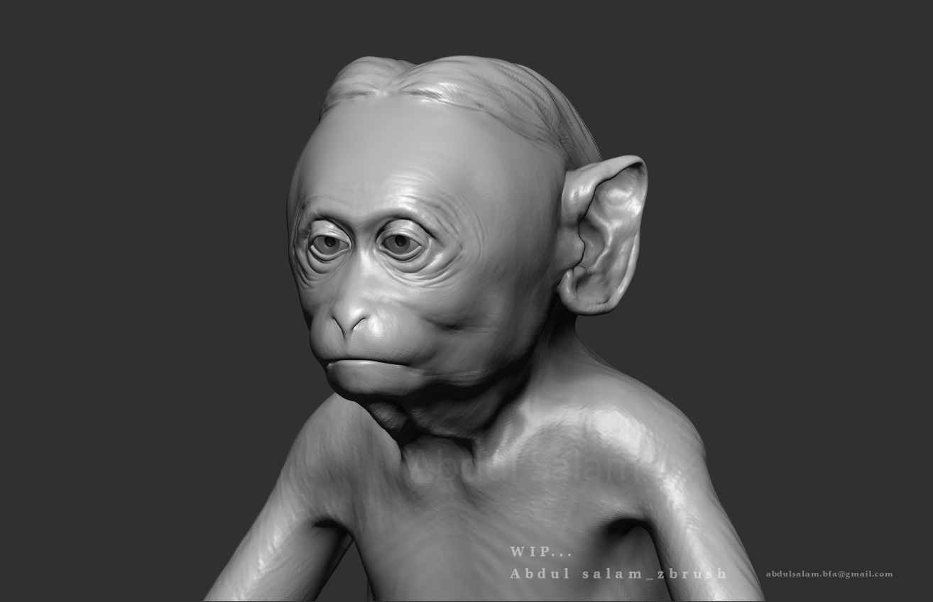 Old Man & Monkey _ Maya and Zbrush