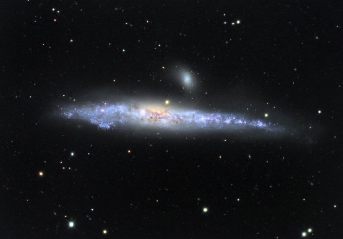 NGC 4631, Galaksi Spiral Berbentuk Mirip Ikan Paus - Info Astronomy