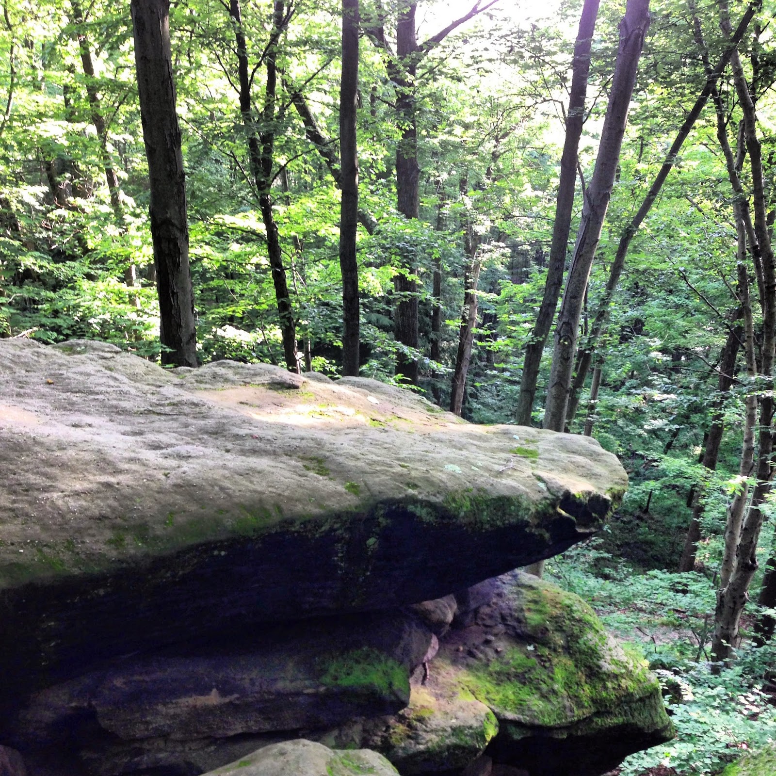 OHventures: Ledges Trail at Cuyahoga Valley National Park