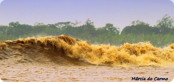 Primeira descrição da Pororoca - Blog de Rocha