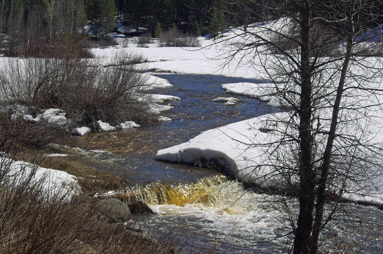 Camas Meadows: April 2012