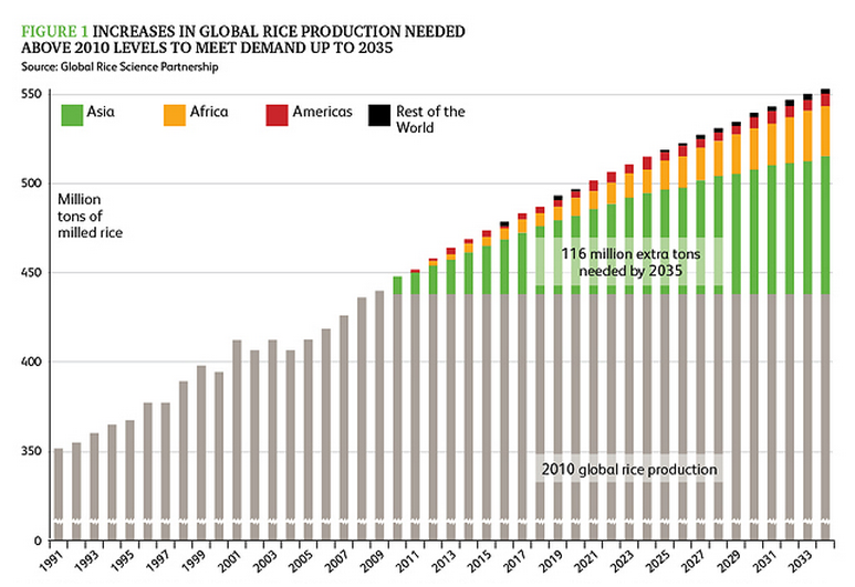 GREEN SUPER RICE: Growing A New Green Revolution