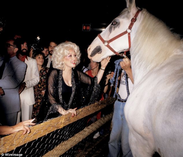 ADVENTURES IN THE CITY: : STUDIO 54