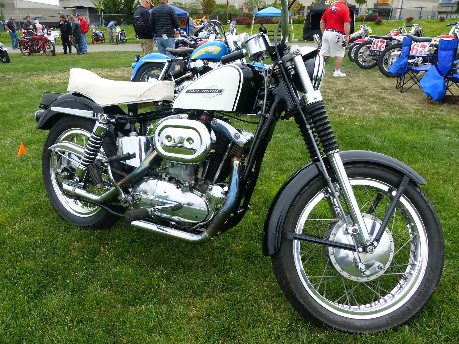 Xlch Sportster