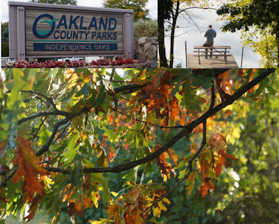 Michigan 1001 Daily Photo: Independence Oaks in Clarkston