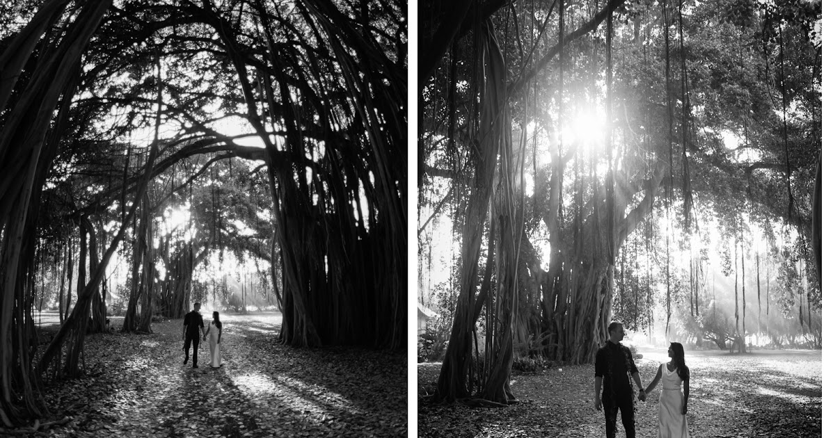 PHOTO NEWS: KEITH KETCHUM : Waimea Plantation Wedding / Dan & Brandie