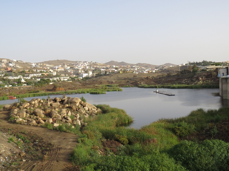 Birding for a Lark: Abha dam