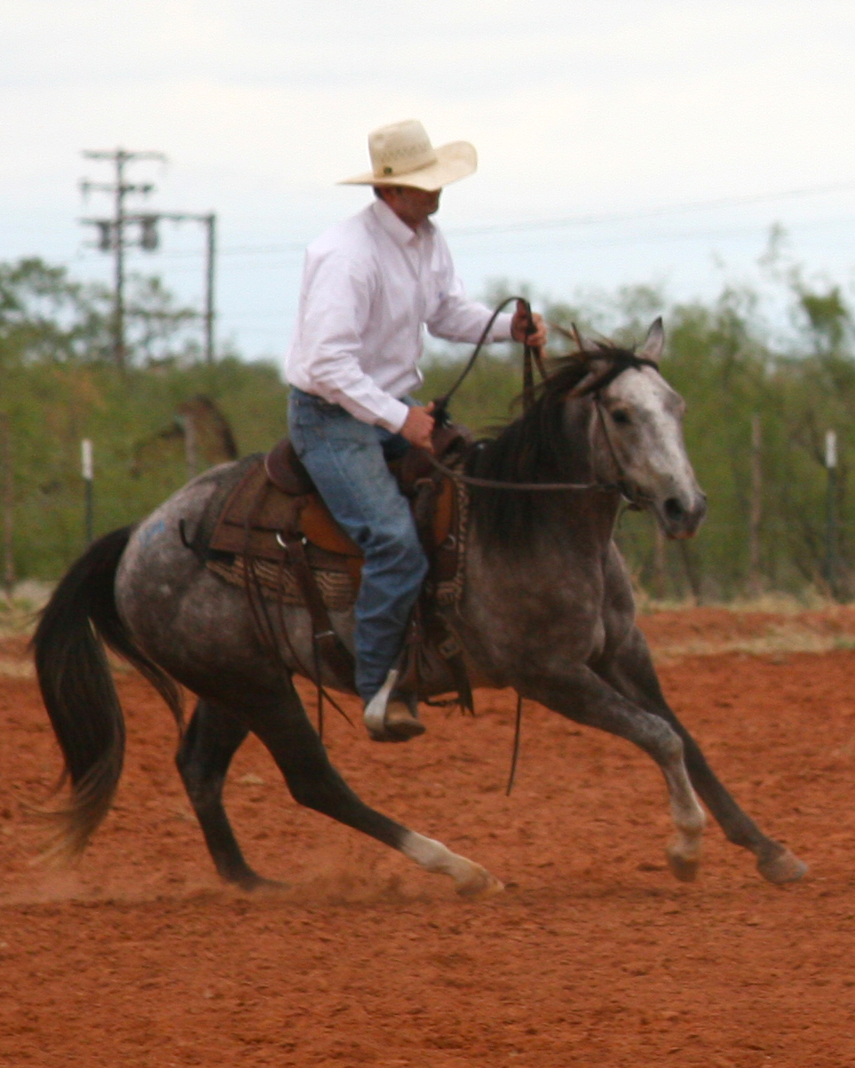 Patton Ranch Electra Texas at Esther Corbett blog