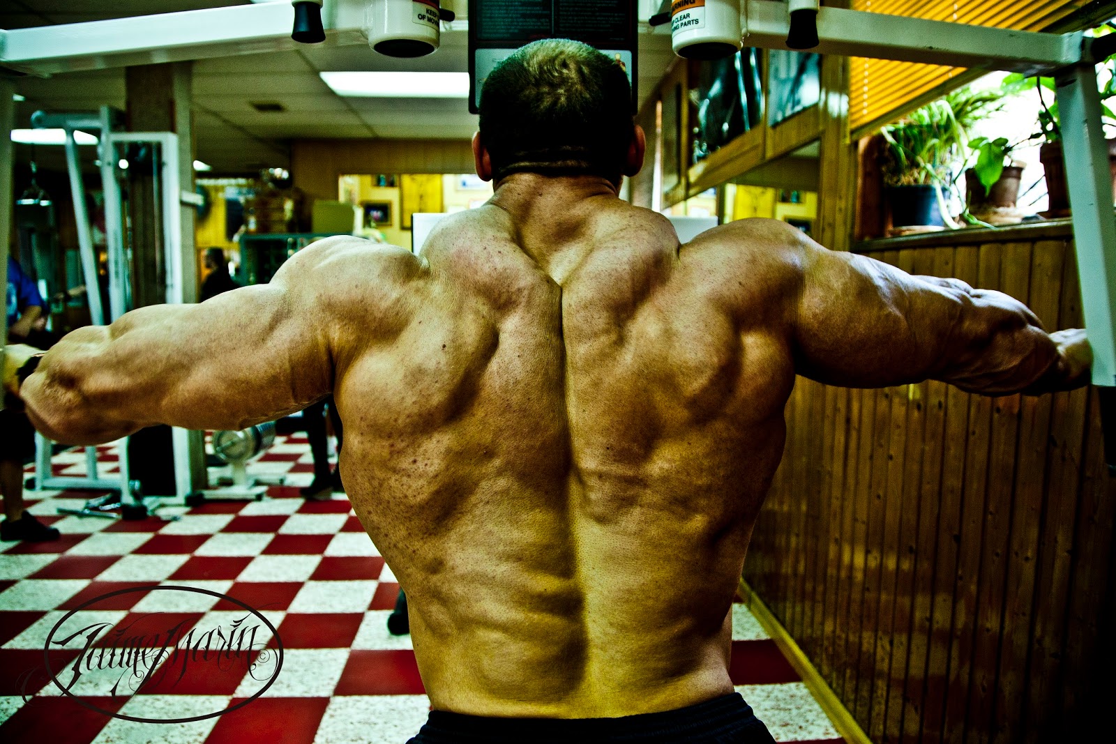 Muscle Lover: The "Spanish Titan" - IFBB Pro bodybuilder Alfonso Del Rio