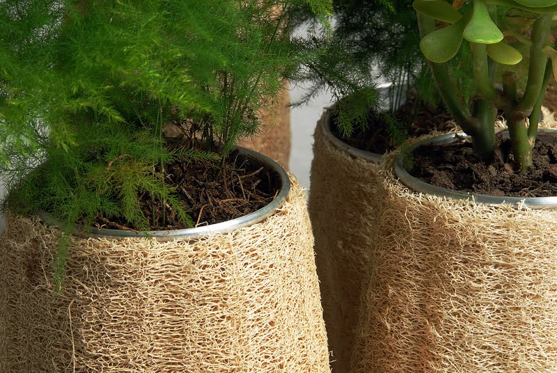 avant garde design: the lufa series.