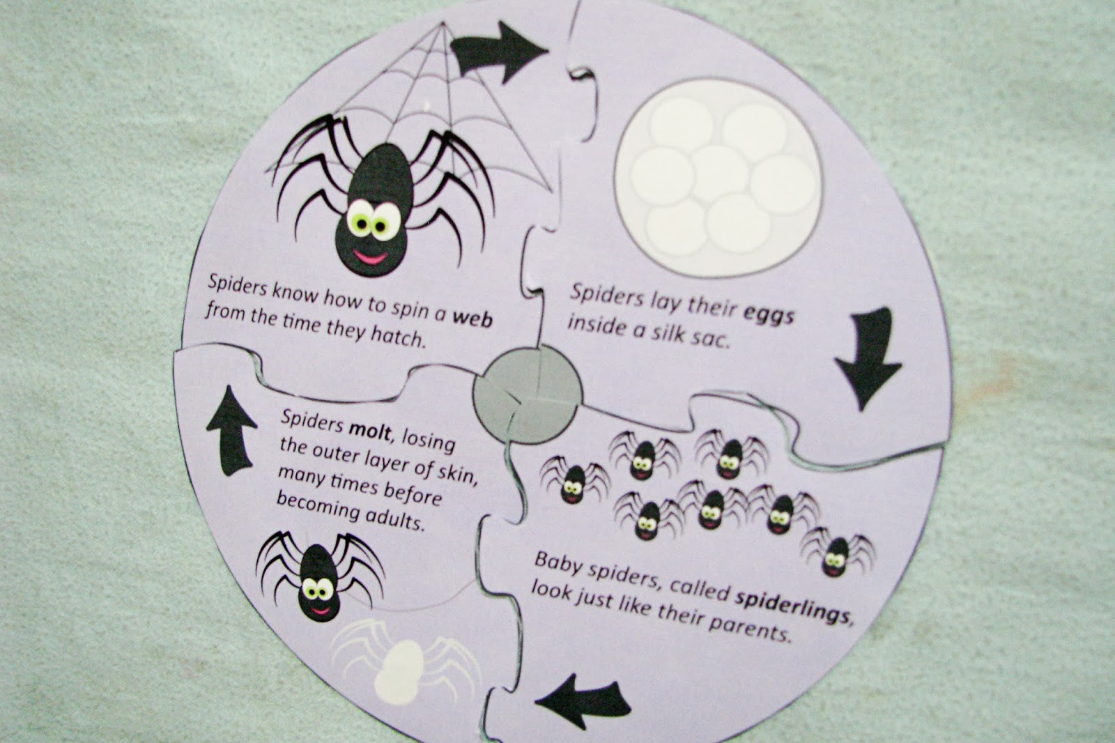 Mommy's Little Helper: Letter S/Spider Preschool Theme