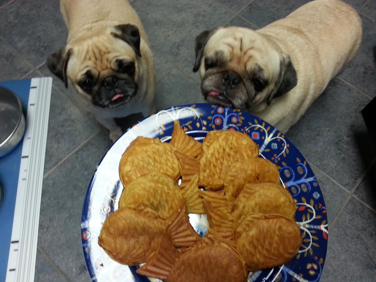 Grubbin' Pugs: Pancakes/Waffles with Dark Chocolate and Coconut Pudding ...