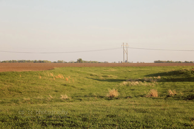 sassafras: the wide open :: farm photography