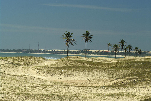 Estações Ecológicas do Brasil: Estação Ecológica do Pecém