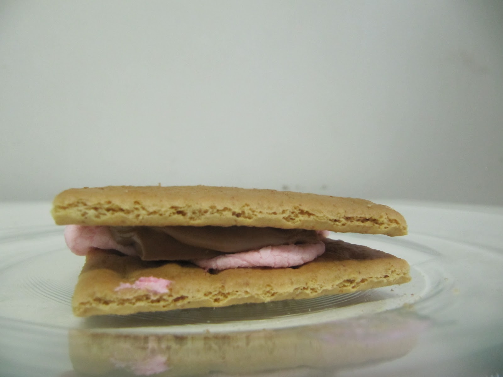 Jewish Homeschool in NYC: Parshat Lech Lecha activity project and craft ...