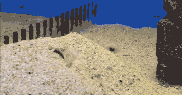 Matt's Blog: goby gif.