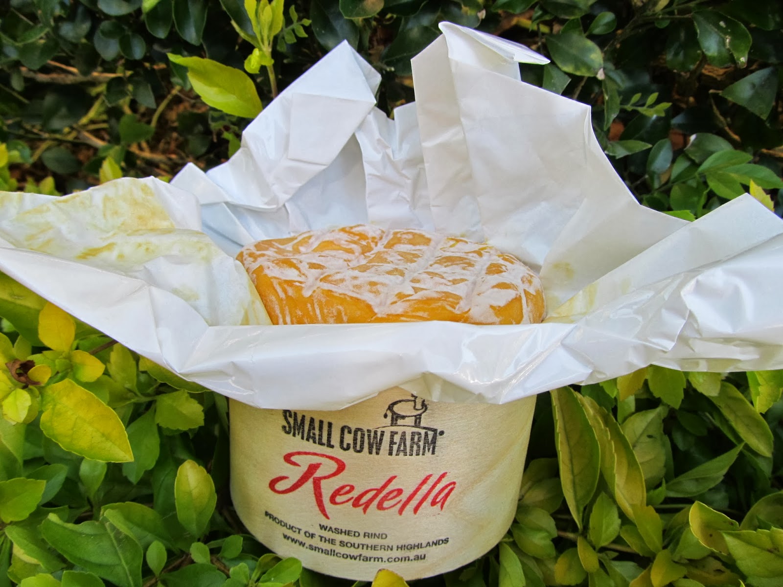 NSW Cheese Trail: Small Cow Farm 'Redella'