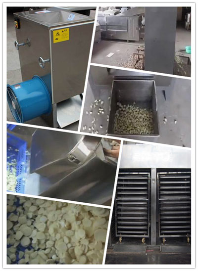 Vegetable Machinery & Fruit Machines: Garlic Deep Processing Industry
