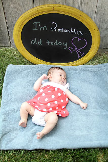 Kelly Knapp Photography