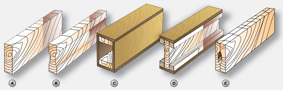 WING ~ Belajar Terbang