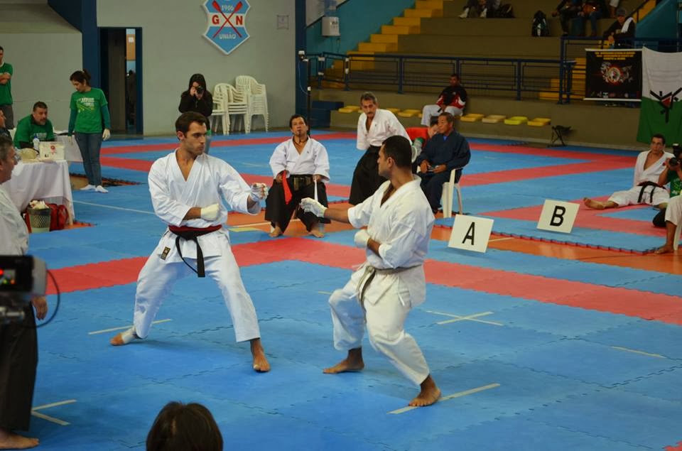 Karate JKA: 2013