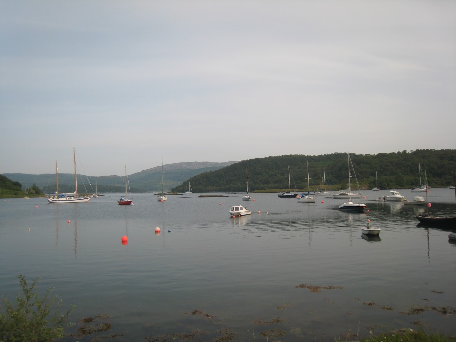 Aleria's Jaunt to Scotland: 11 July 2013, Loch Sween, Scotland
