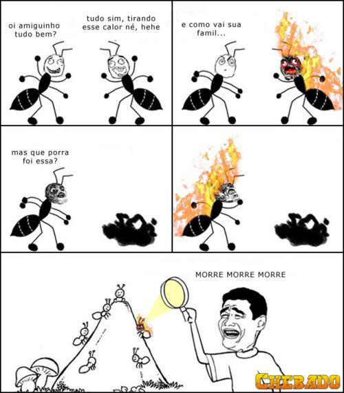 Pequeno meme: Quima formigas