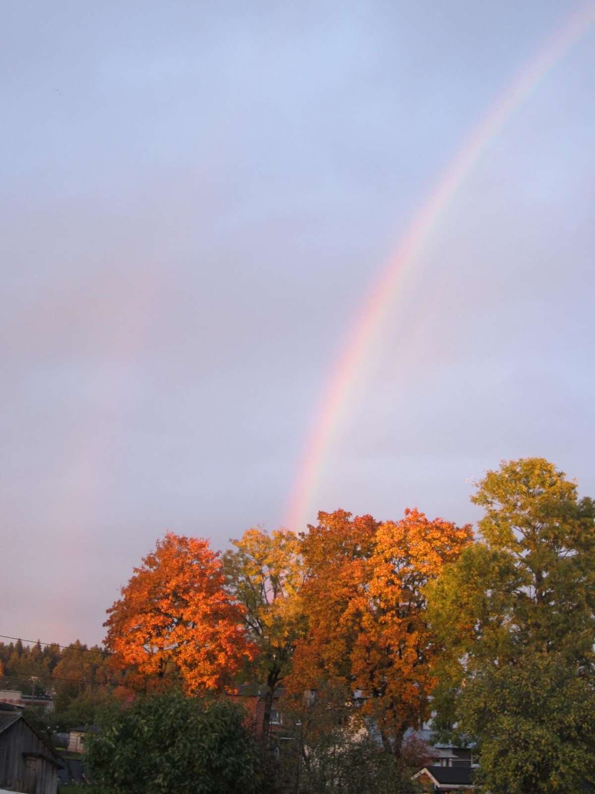Manni tegemised: Vikerkaare värvid